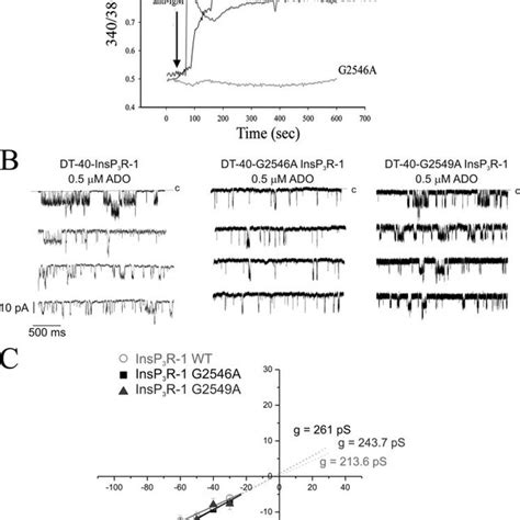 ip 3 r sequence alignment shown is sequence alignment of the pore