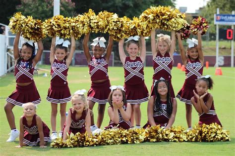 🐾 📣 Sysa Cheer Sysa Sherman Youth Sports Association
