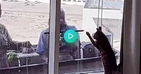 Heyy Humansss Lemme Helpppp Album On Imgur