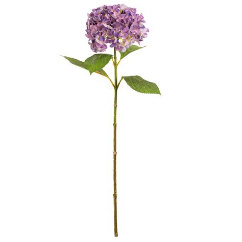 Hydrangea Stem Lavender 19cm Head 66cm Stem Eleganzafloral