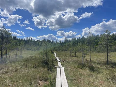 Karolina Numminen On Linkedin ☀ My First Summer Vacation As An