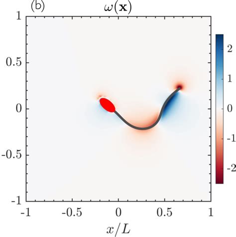 A Snapshot Of The Instantaneous Velocity Field Induced By A Swimming