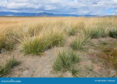 Typische Steppenlandschaft Stockfoto Bild Von Tropfenfänger 38679648