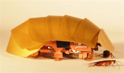 Robot Cockroach Developed To Help In Search And Rescue Missions After Natural Disasters