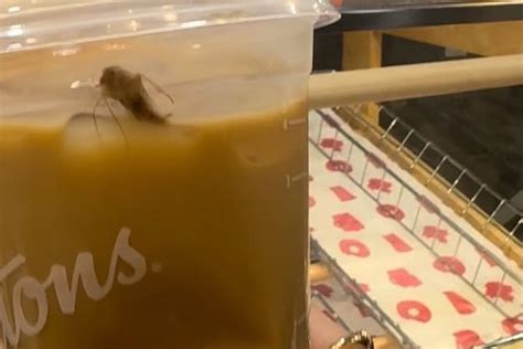 Tim Hortons Customer Claims She Found Cockroach In Coffee Food And Drink