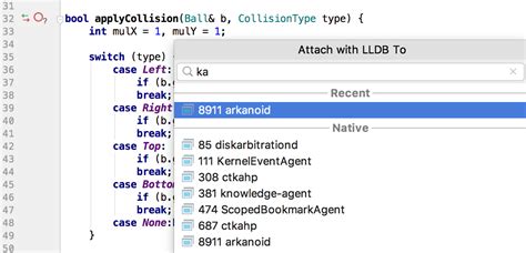 Run And Debug Configurations Features Clion