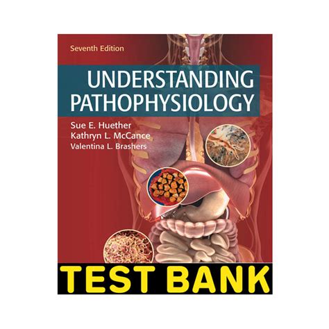 Test Bank Understanding Pathophysiology 7th Edition By Hueth Inspire