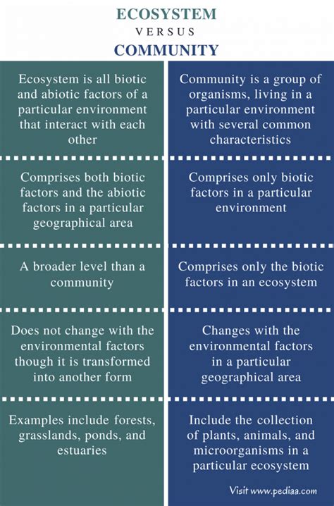 Difference Between Ecosystem And Community Definition