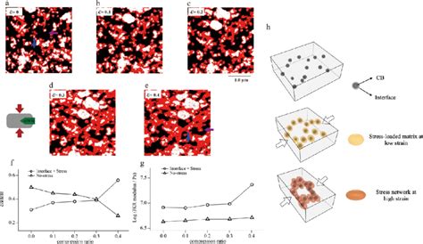 A−e Ternary Images Based On Modulus Separation At Macroscopic Download Scientific Diagram