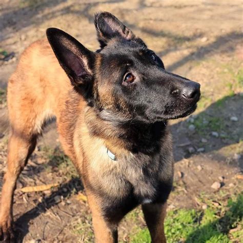 Sarille Li Posted On Linkedin