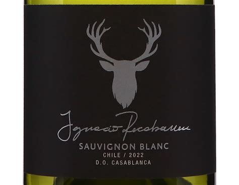 Ignacio Recabarren Casablanca Sauvignon Blanc 2022