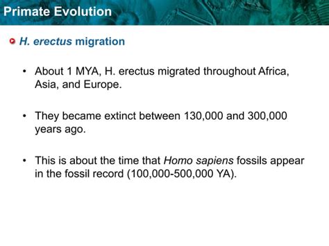 Primate Evolutionppt