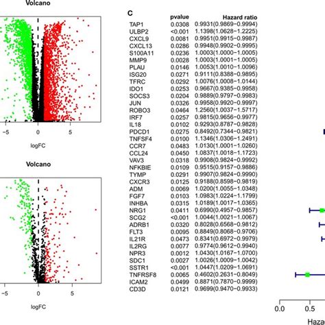 Volcano Plots For Expression Of Differentially Expressed Genes Red