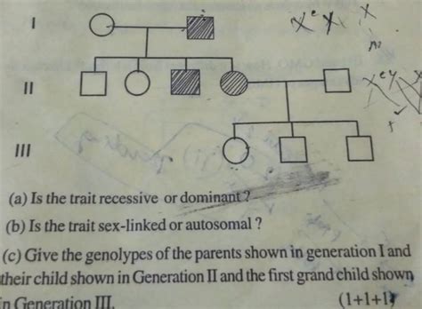 A Is The Trait Recessive Or Dominant B Is The Trait Sex Linked Or Au