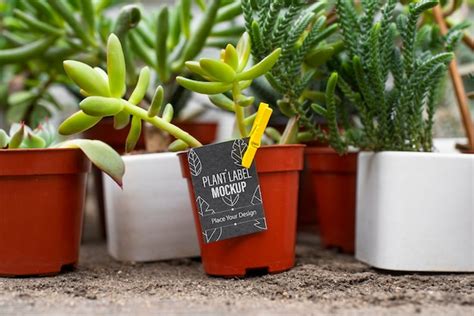 Premium Psd Plant Label Mockup Design