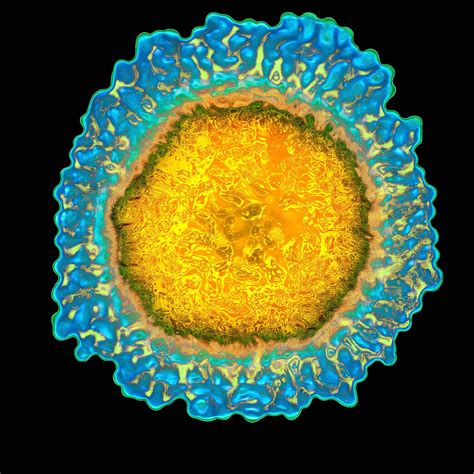 Virus Under Light Microscope