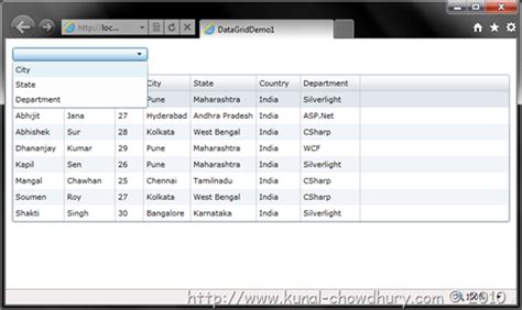 Grouping Records In Silverlight Datagrid Using Pagedcollectionview