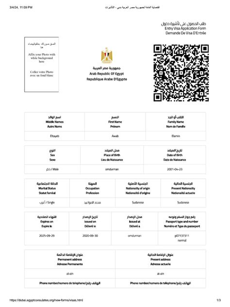 Egypt Visa Pdf