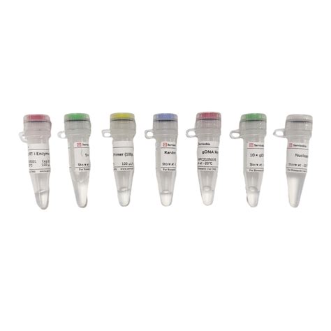 Reverse Transcription Gdna Remover Reverse Transcriptase Cdna Synthesis Kit China Pcr Reagent