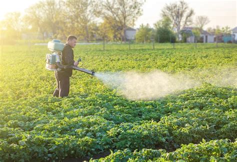 Premium Photo A Farmer Sprays A Solution Of Copper Sulfate On Plants Of Potato Bushes