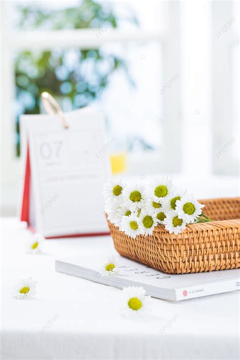 2 Feliz 1 De Junio Fotos Imágenes E Fondo Para Descarga Gratuita Pngtree