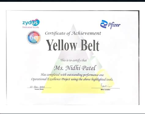 Nidhi Patel On Linkedin One More Growing Journey Is Started I