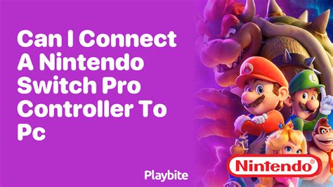 Can I Connect A Nintendo Switch Pro Controller To Pc Playbite