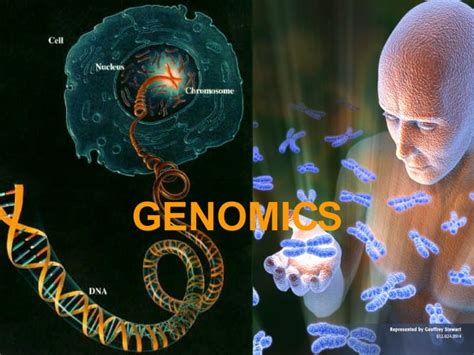 Genomics Ppt