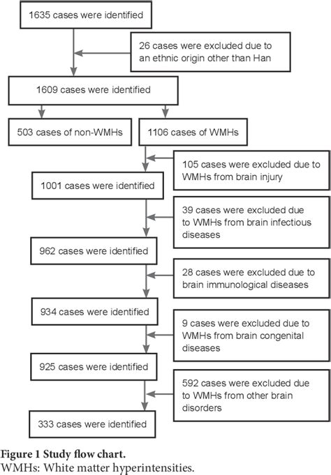 Figure 1 From Prevalence Of White Matter Hyperintensities Increases