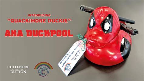 Cullimore Dutton Solicitors Is Fundraising For Countess Of Chester