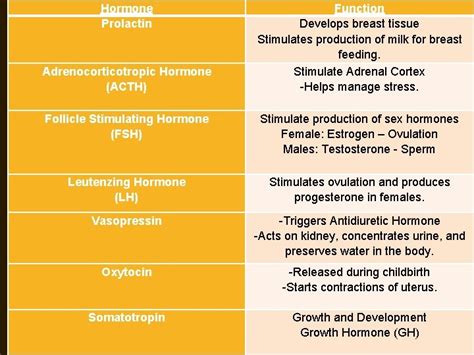 The Endocrine System Endocrine System Contains Glands That