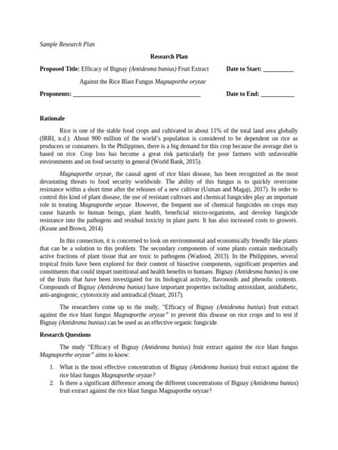 Research Plan Sample Pdf