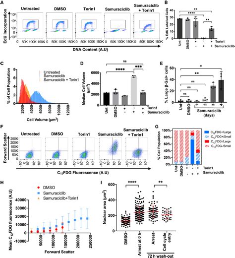 Active Growth Signaling Promotes Senescence And Cancer Cell Sensitivity