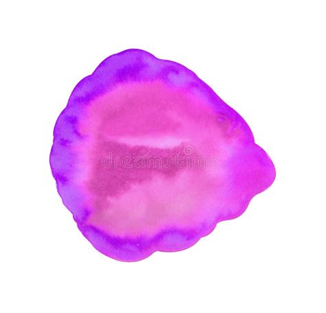 Shell Form Drawn With Watercolorhandmade On White Background Stock