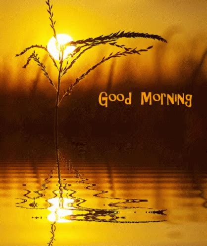 Good Morning Sunrise  Goodmorning Sunrise Waterripple Discover