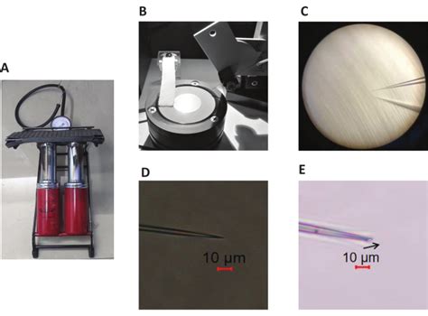 Video Author Spotlight Optimizing Embryo Microinjection For