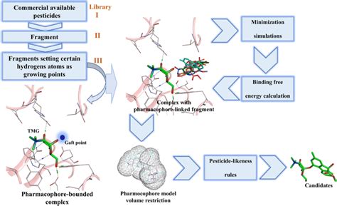 The Workflow Of Virtual Screening Download Scientific Diagram