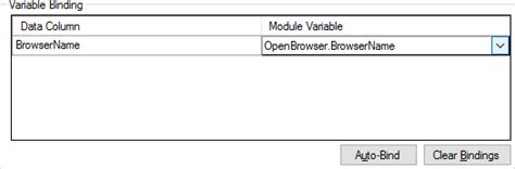 Cross Browser Test Automation With Ranorex