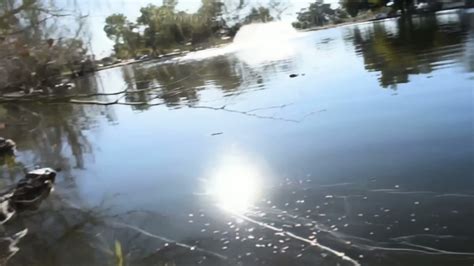 Hqcollect 2352 Eporner