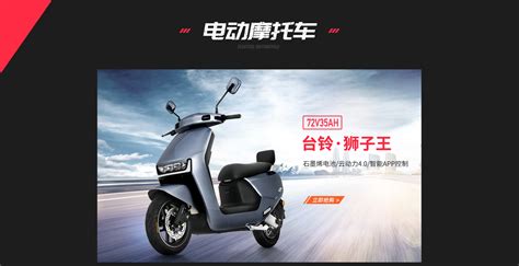 台铃摩托车 电动车旗舰店 京东