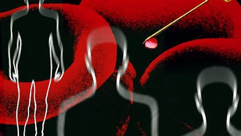 Experimental Test May Quickly Diagnose Sepsis Bdo Pro