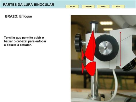 Partes De Lupa Binocular Ppt
