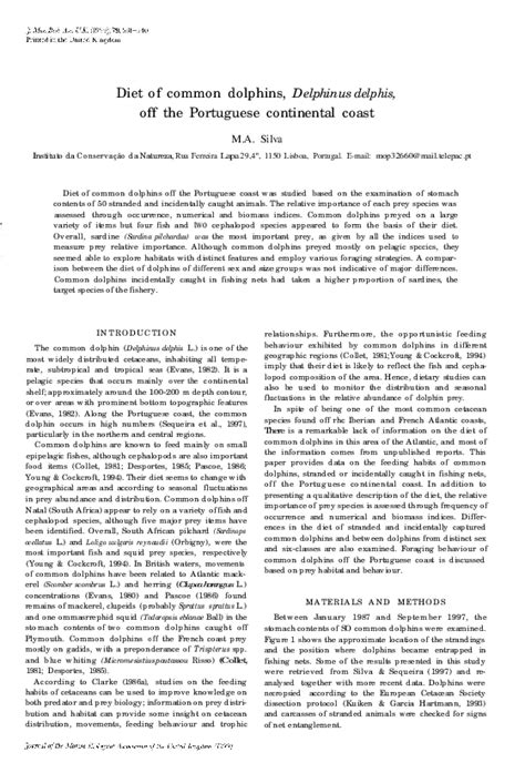 Pdf Diet Of Common Dolphins Delphinus Delphis Off The Portuguese Continental Coast