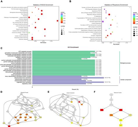 Integrating Lipidomics And Transcriptomics Reveals The Crosstalk