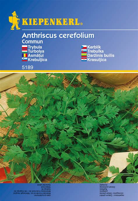 Trybula Jednoroczna Bricomarchepl