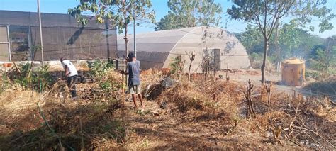 Kegiatan Kerja Bakti Di Upt Llkk Undana Lahan Kering Kepulauan