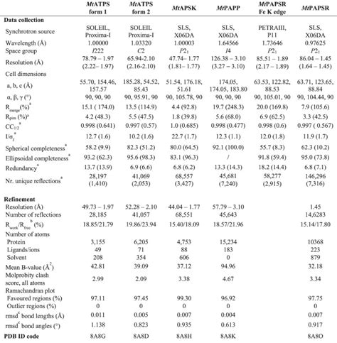 Assimilatory Sulfate Reduction In The Marine Methanogen