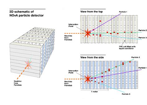 Schematic Diagram Of The Nova Detectors Left And How The Neutrino