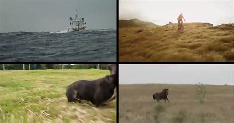 Hamed Zitoun On Linkedin Computervision Technology Machinelearning