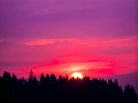 Sunset Sky Pink Trees Sun 4k Wallpaper Toppng